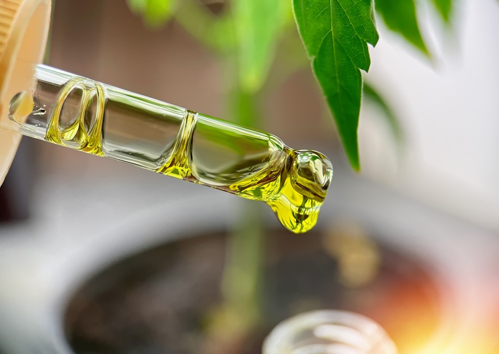 À savoir sur la Nano-émulsion du CBD par ultrasons
